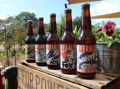 Feral Brewery voted Australia’s best - Inside FMCG