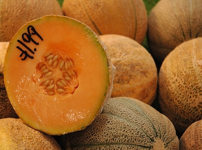 NT farm linked to salmonella rockmelon - Inside FMCG