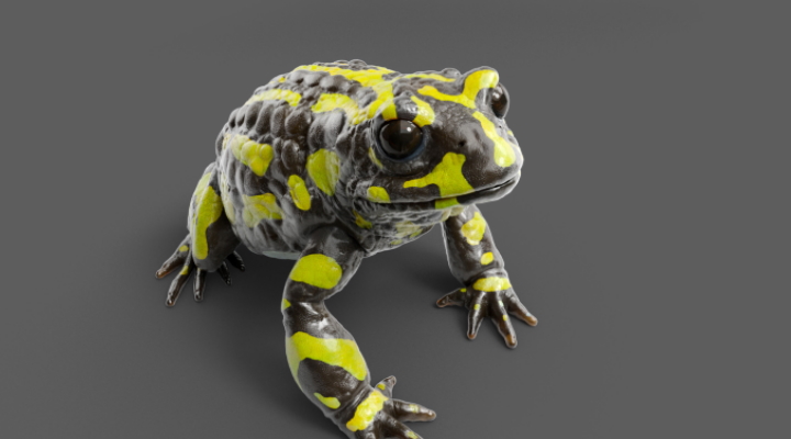 Freddo changes colour to help out endangered frogs - Inside FMCG