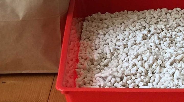 Victoria-based startup DiaperRecycle turns used nappies into cat litter ...