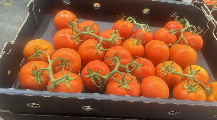 Australia may experience a tomato glut following fruit virus crisis ...